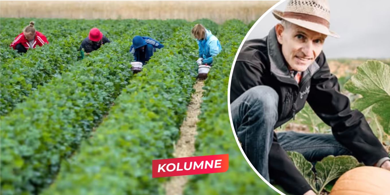 Martin Jucker: Ein Lob auf die Erntehelfenden aus dem Ausland! | Nau.ch