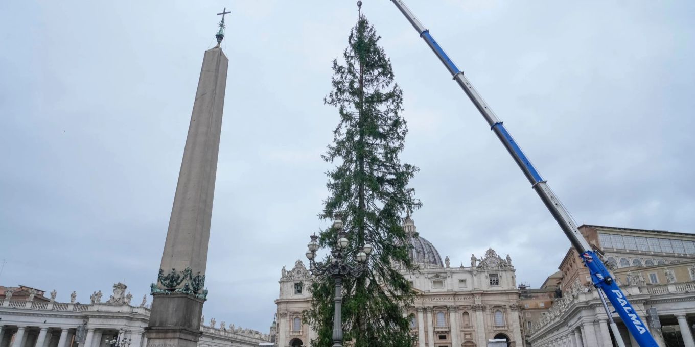 Weihnachtsbaum auf dem Petersplatz leuchtet | Nau.ch
