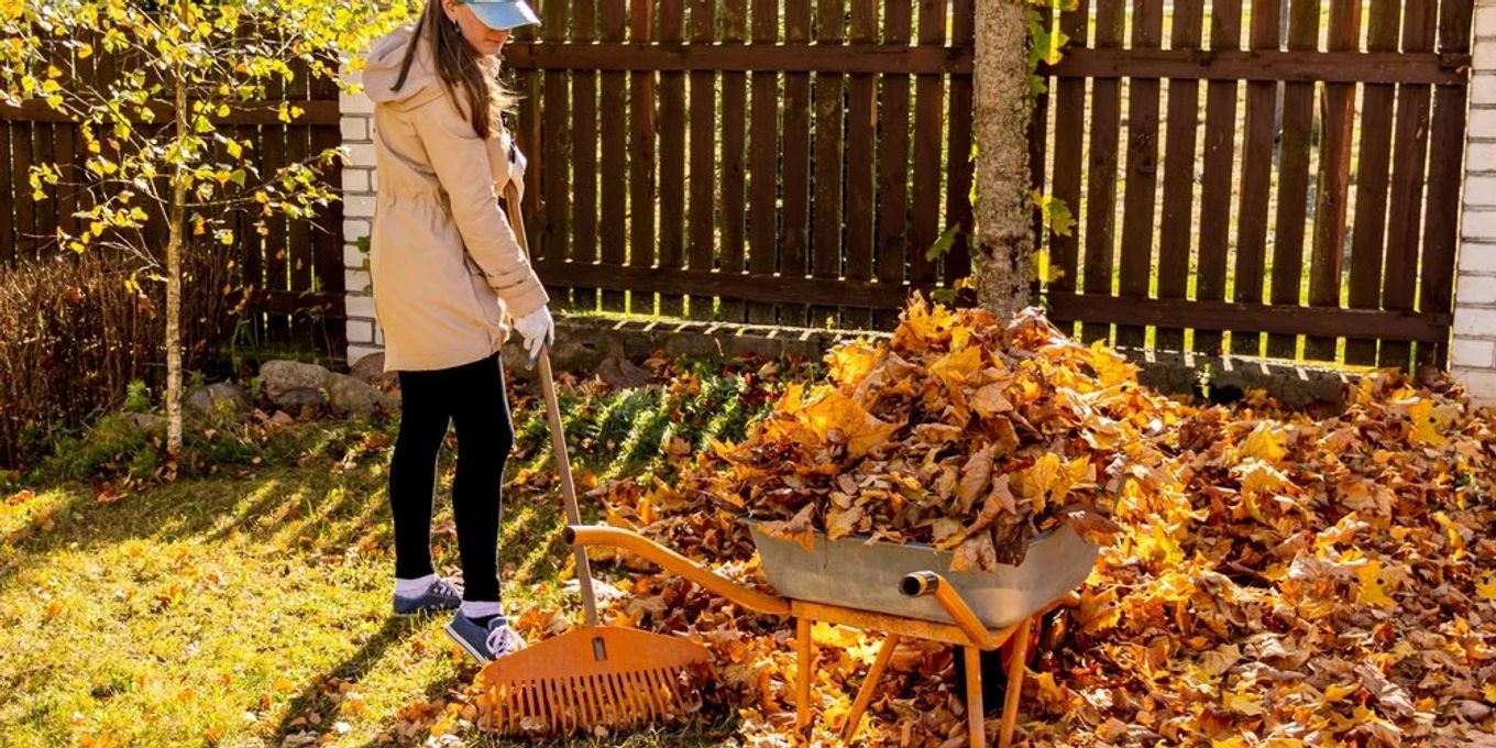 Auf diese Dinge sollten Gärtner im Herbst achten | Nau.ch