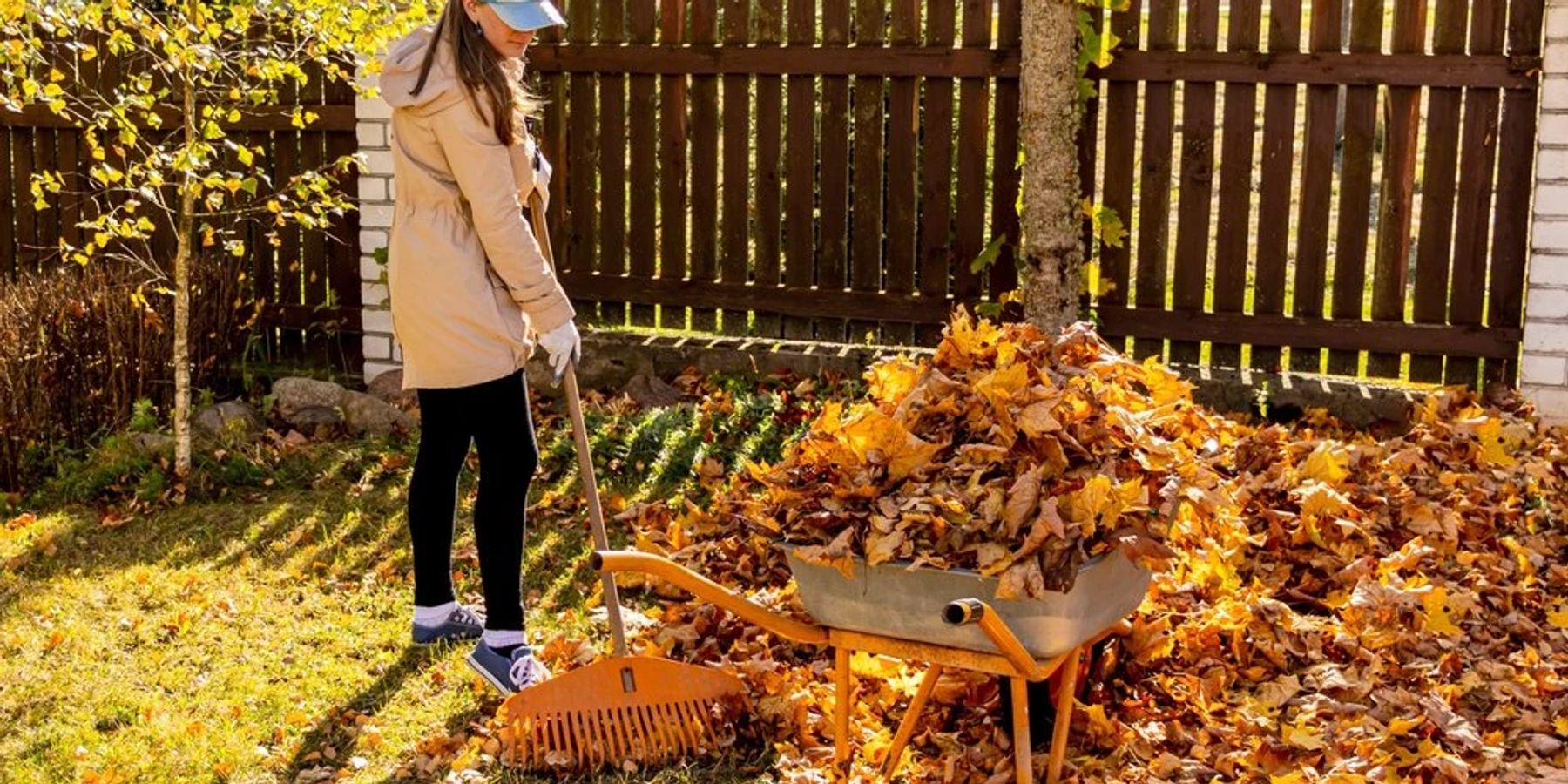 Auf diese Dinge sollten Gärtner im Herbst achten | Nau.ch