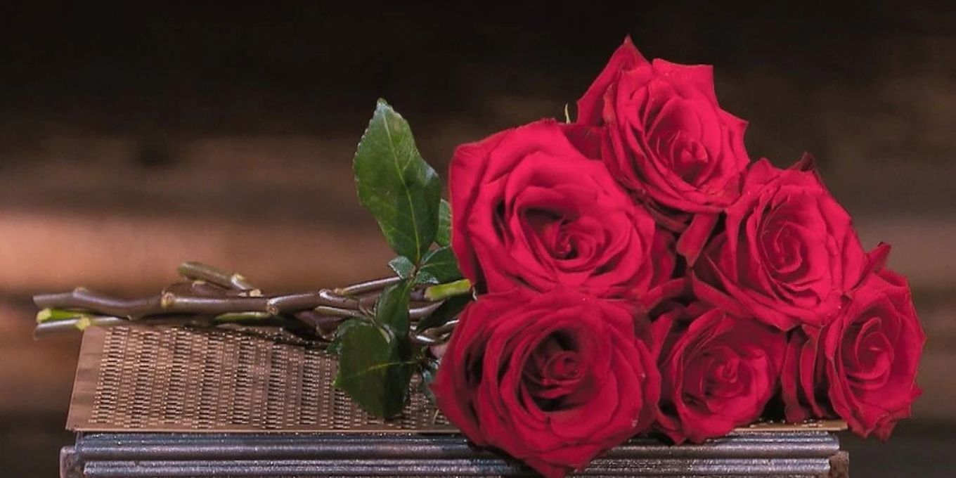 Der Bachelor: Alles zur Schweizer TV-Kuppelshow | Nau.ch