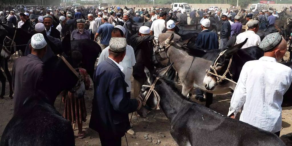 Uiguren in Xinjiang: Amnesty International fordert zum Handeln auf
