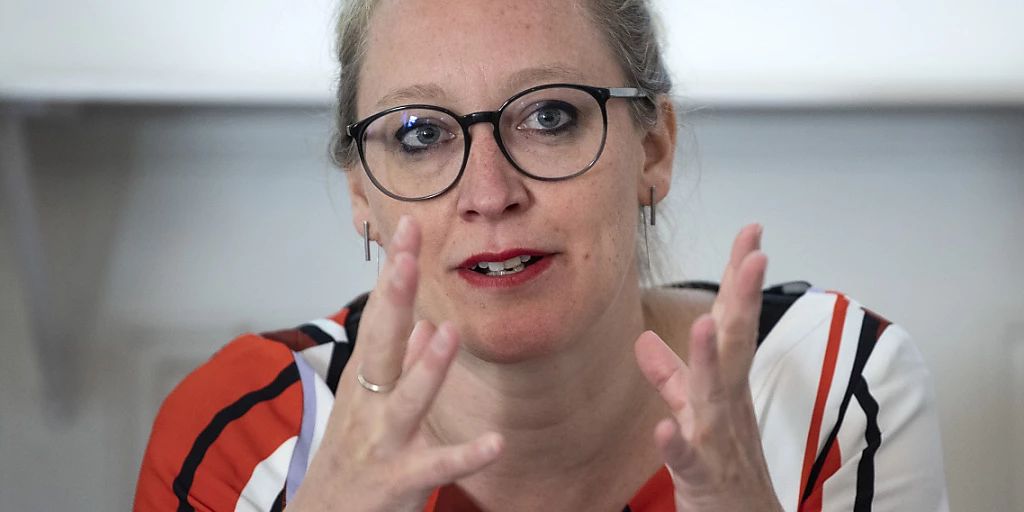 Grüne-Fraktionschefin: «Wollten keine Ressourcen verschwenden»