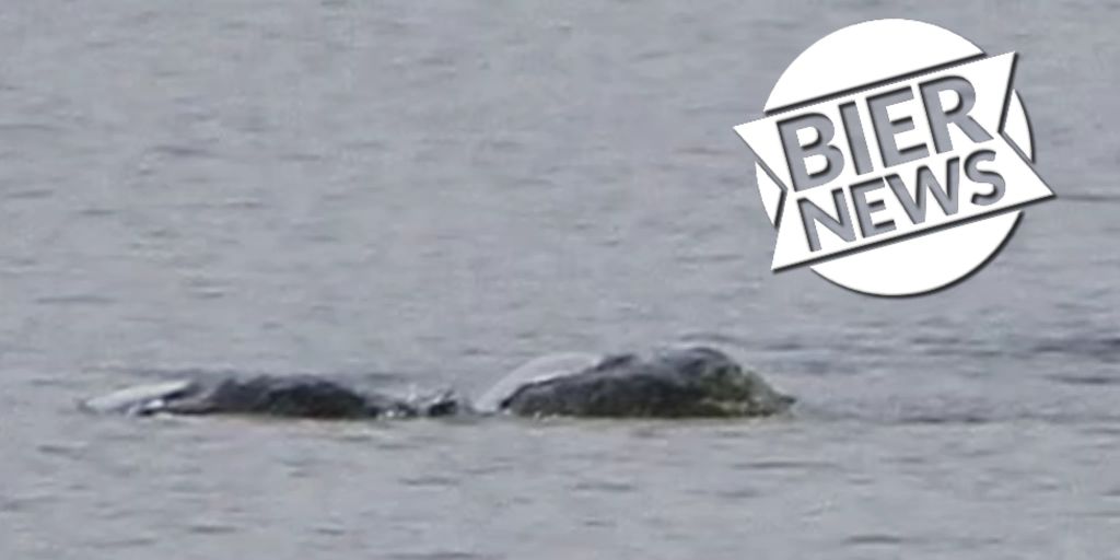 Fotografin veröffentlicht «bisher überzeugendste» Nessie-Bilder