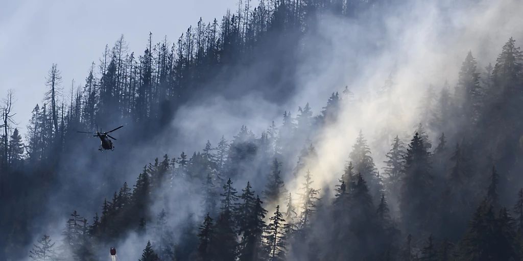 Löschhelikopter-Einsatz im Walliser Waldbrandgebiet oberhalb Bitsch