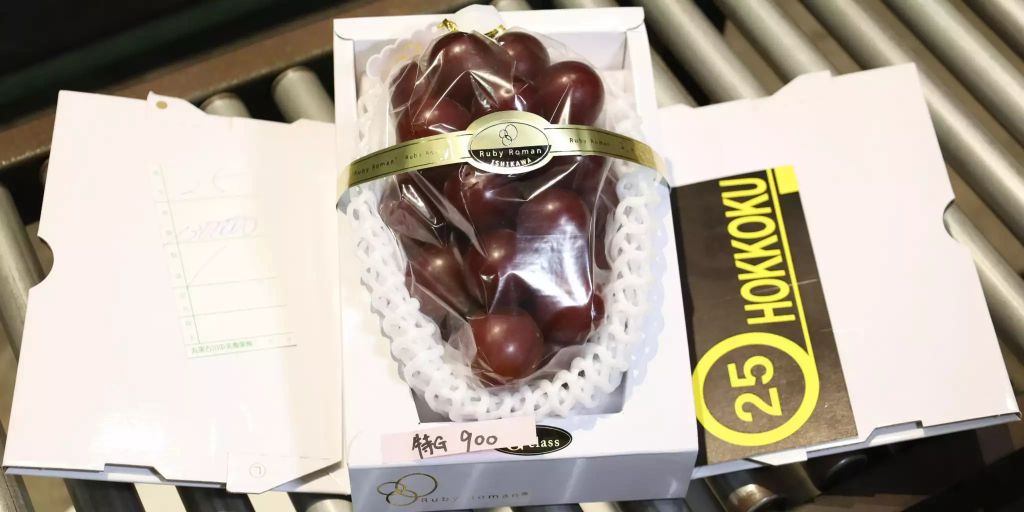 Weintraube aus Japan: «Ruby Roman» für 10'000 Euro versteigert