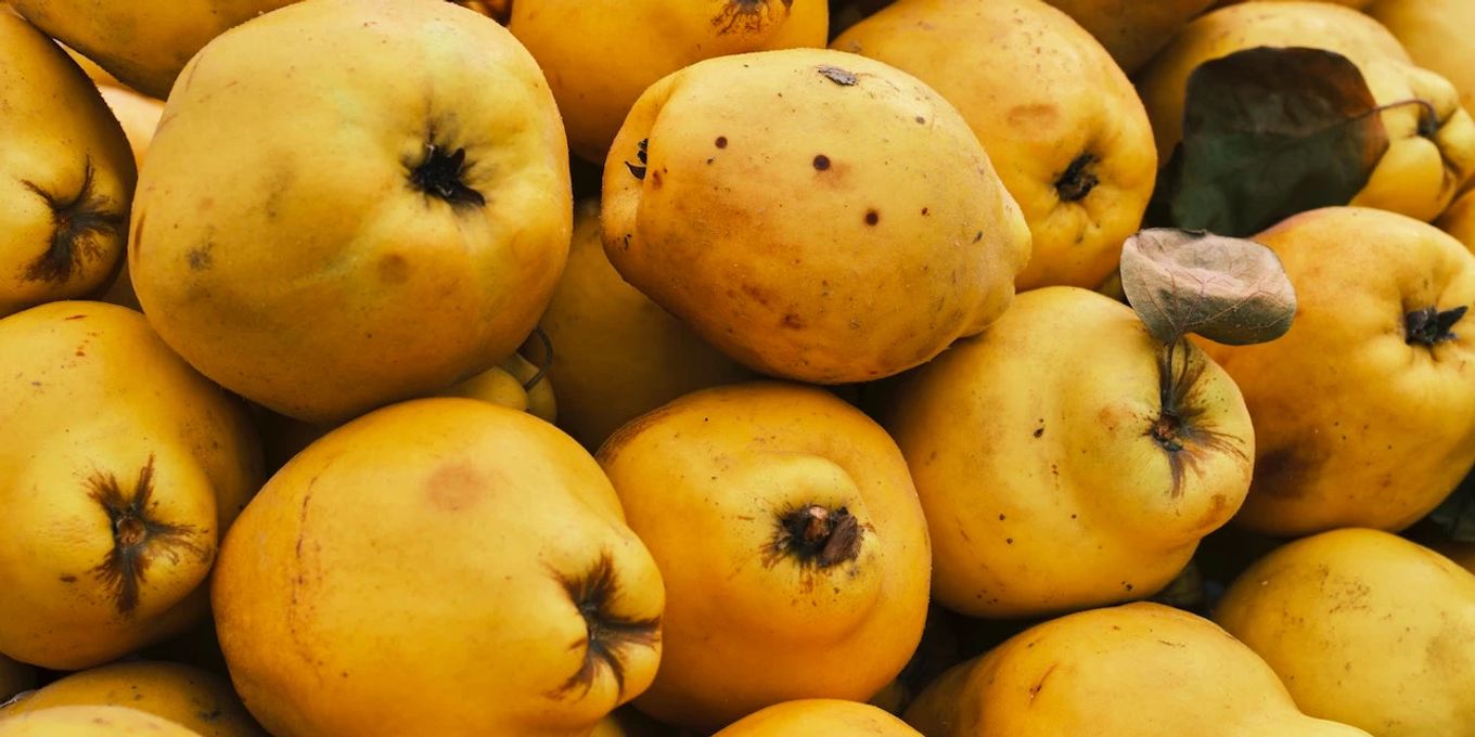 Herbstliches Obst: So bereitet man Quitten zu | Nau.ch