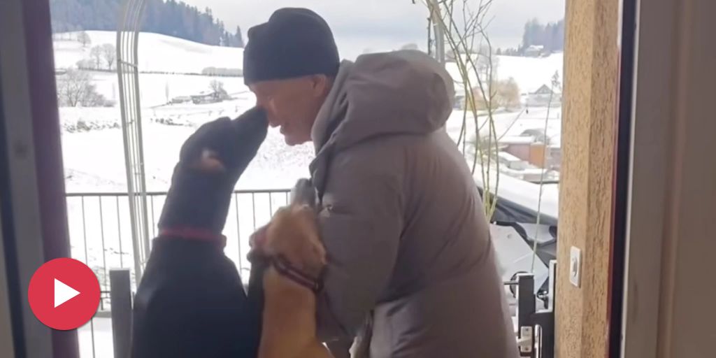 «Mister Corona» – Daniel Koch nach Operation wieder zu Hause