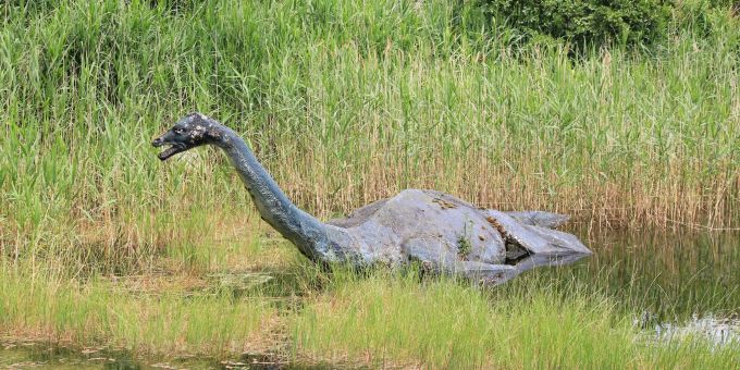 Grösste Suche nach Nessie seit Jahrzehnten am Loch Ness geplant | Nau.ch