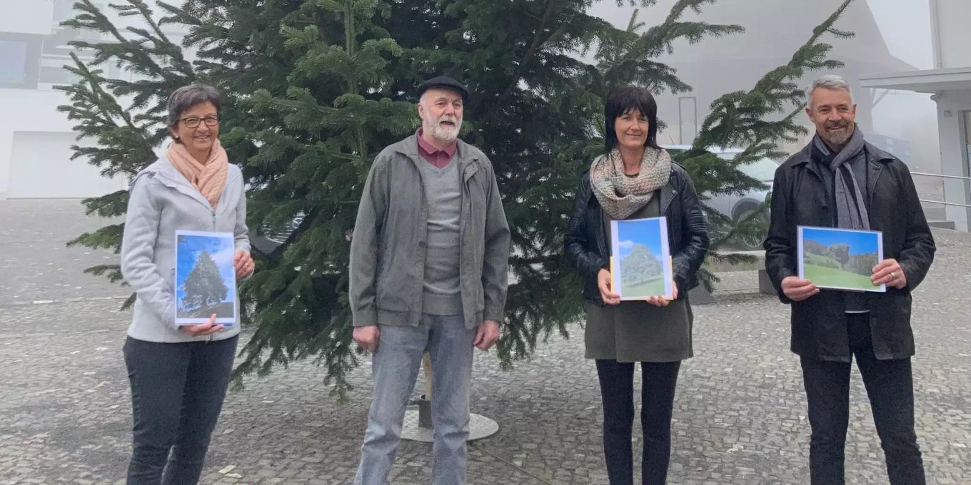 LEK-Fotowettbewerb «attraktivster Einzelbaum» | Nau.ch