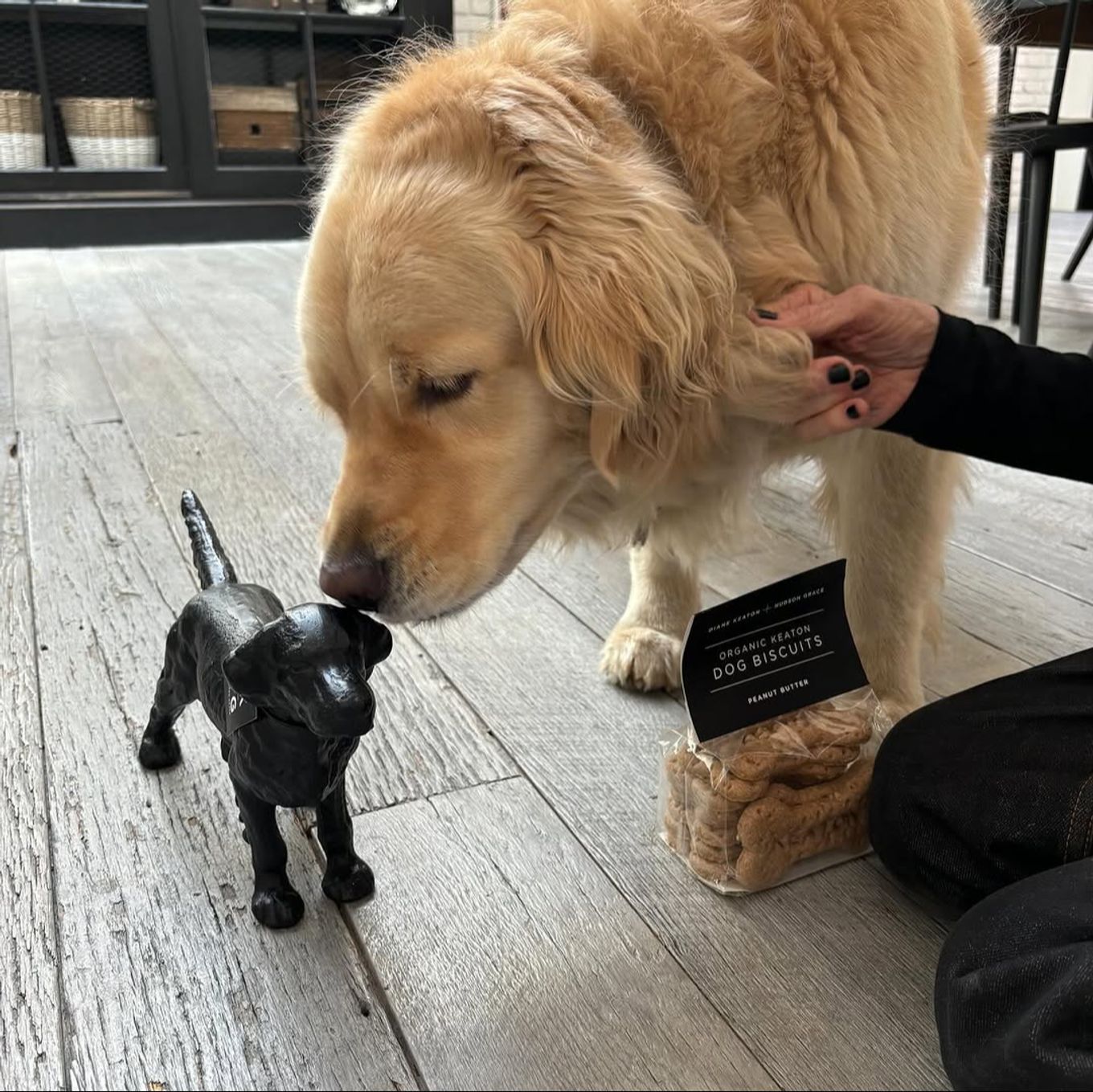 Diane Keaton (†79): Ihr Golden Retriever Reggie erbt Millionen | Nau.ch