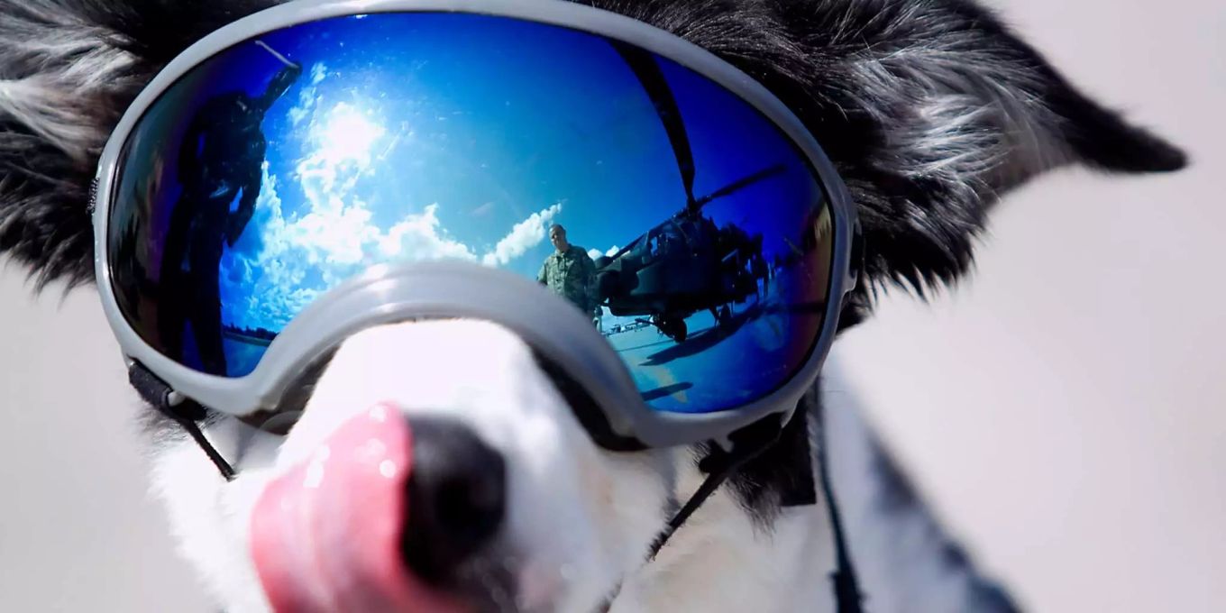 Piper stirbt an Krebs | Nau.ch