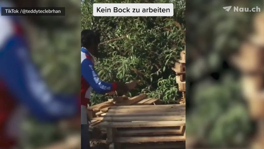 «Null Bock»: Experten warnen vor dem Liken von Arbeits-Memes