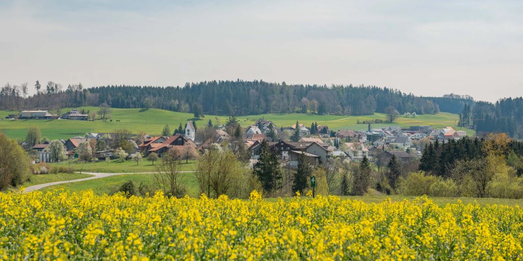 Wildberg: Aktive Sommerferien für Kinder und Jugendliche