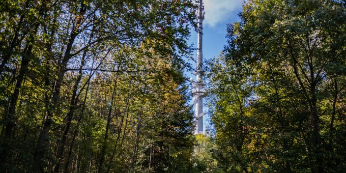 Waldtag in Winterthur: Ein Tag für Natur und Gemeinschaft | Nau.ch