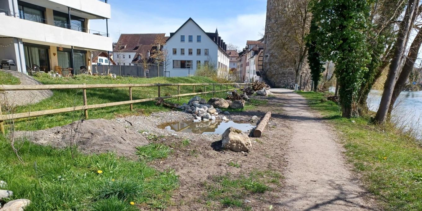 Bremgarten vollendet ökologische Aufwertung am Augraben | Nau.ch