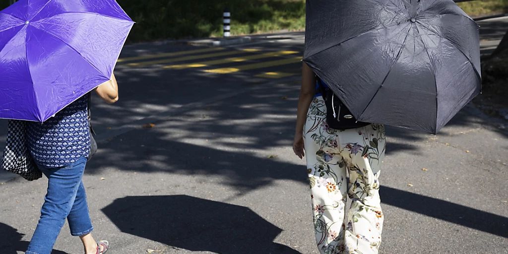 Hitzeinseln erhöhen Sterberaten in europäischen Städten