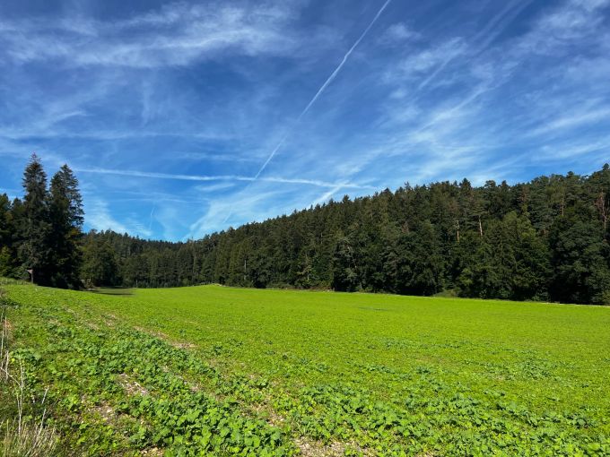 In Der Natur Nagra
