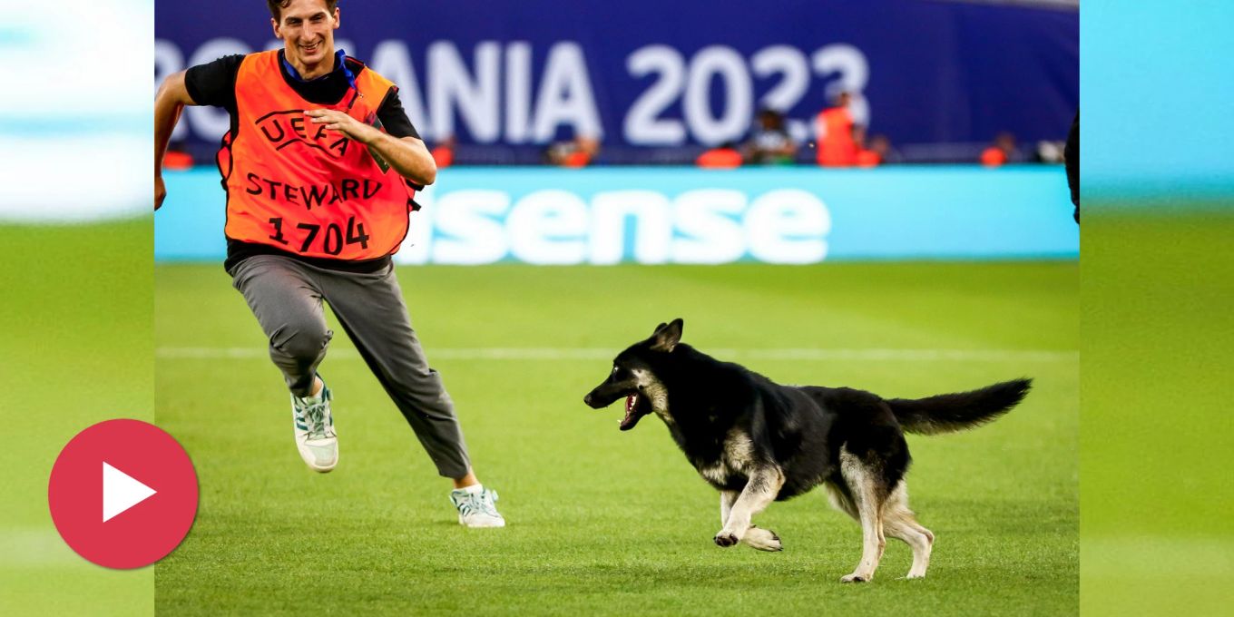 Hund rennt auf Spielfeld und sorgt für Unterbrechung an der U21-EM | Nau.ch