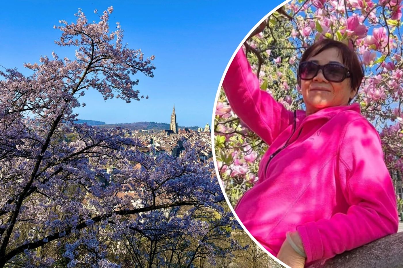 Schweiz entscheidet sich für deutsche Piranha-IV-Panzer | Nau.ch