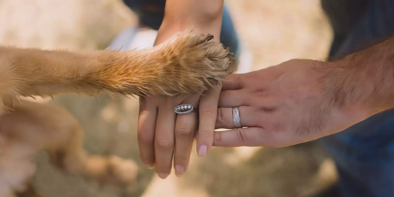 Deshalb legt Ihr Hund die Pfote auf Ihren Körper | Nau.ch