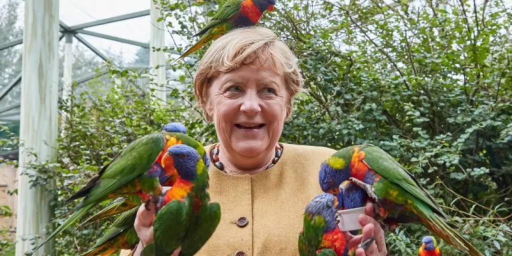 Nur beim Uhu sagte Merkel «Nein»