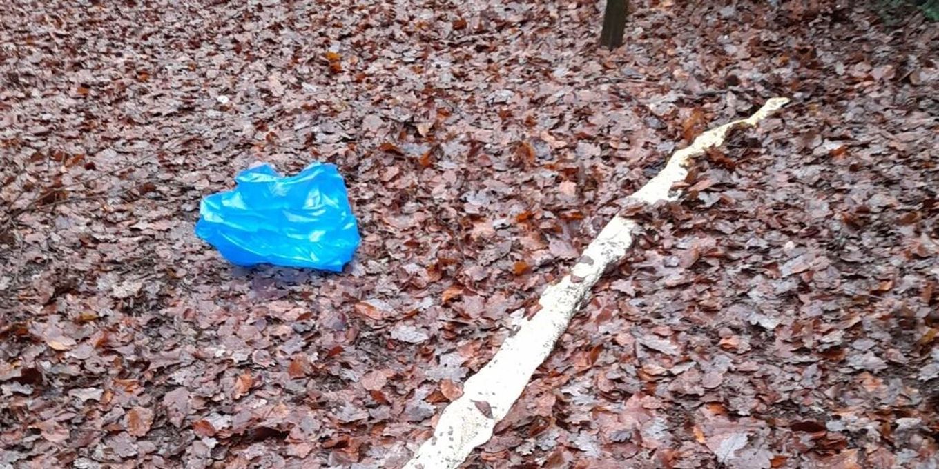 Tote Schlange von vier Metern Länge in Berliner Park gefunden | Nau.ch