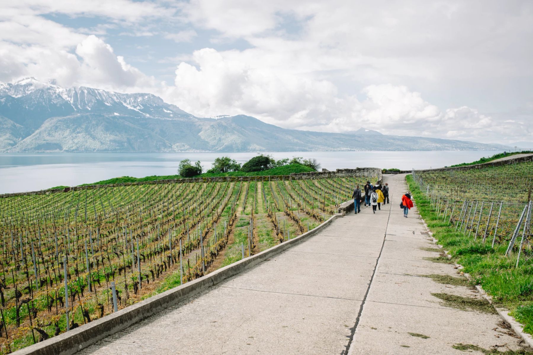 Freizeit: Das erwartet Sie in der Region Lavaux und Montreux Riviera ...