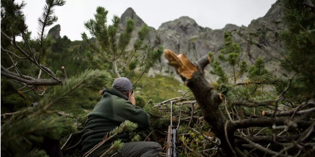 Bündner Jäger schiessen erstmals Wölfe auf der Hochjagd