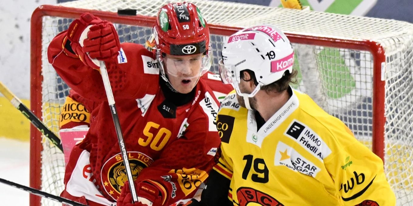 National League: Das sind die 14 Teams der Schweizer Eishockey-Liga ...