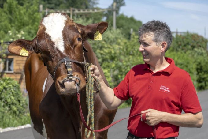 ESAF: Ist auch Ersatz-Siegermuni «Magnus II» verletzt? | Nau.ch