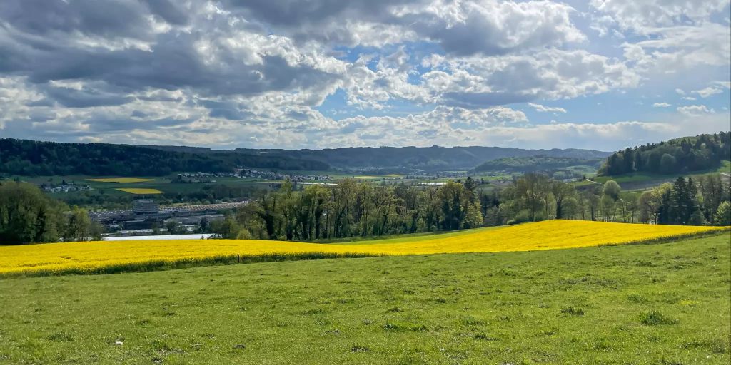 Buchs ZH ruft zum Wassersparen auf