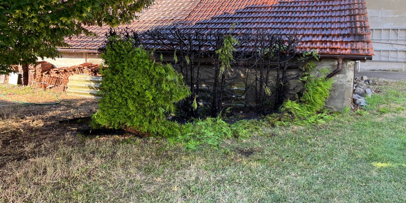 Kradolf TG: Hecke in Brand geraten | Nau.ch
