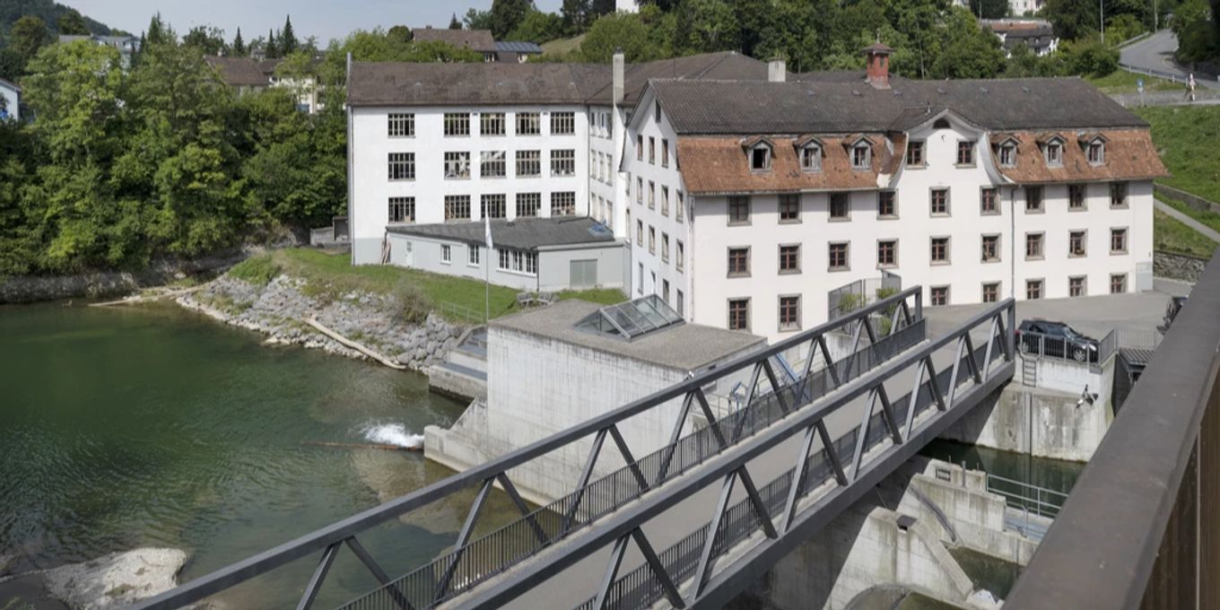 Die Thur sieben Grad zu warm, der Bodensee-Pegel fast beim Minimum | Nau.ch