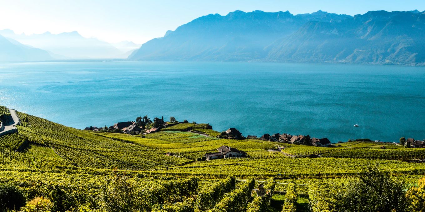 Freizeit: Deshalb wird Ihnen die Weinregion Lavaux gefallen | Nau.ch