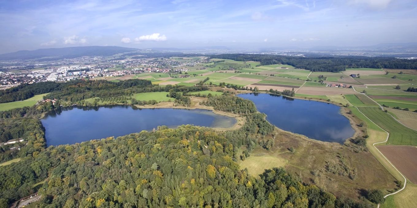 Allmend Katzensee wird wieder zu einem Feuchtgebiet | Nau.ch
