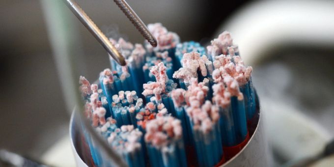 Telegram-Chef Durow macht Samenspende öffentlich | Nau.ch