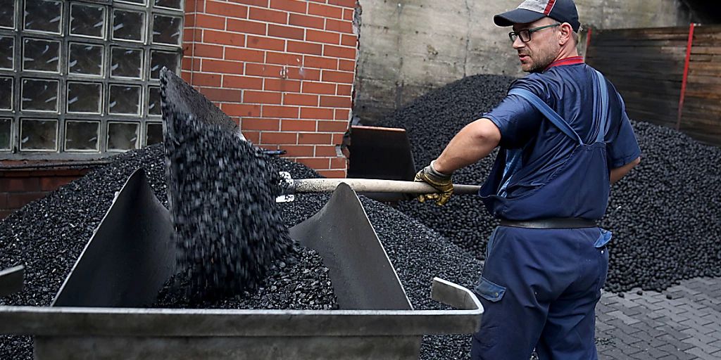 Keine Engpässe wegen Importverbot für russische Kohle erwartet