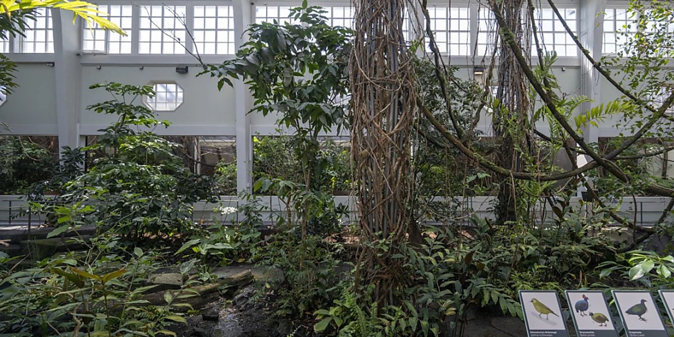 Zoo Basel mit Besucherrekord im Jahr 2023 | Nau.ch