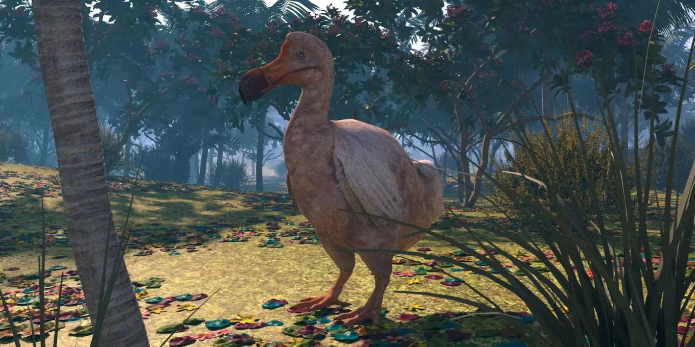 Wer hat «Oxford-Dodo» auf dem Gewissen? | Nau.ch