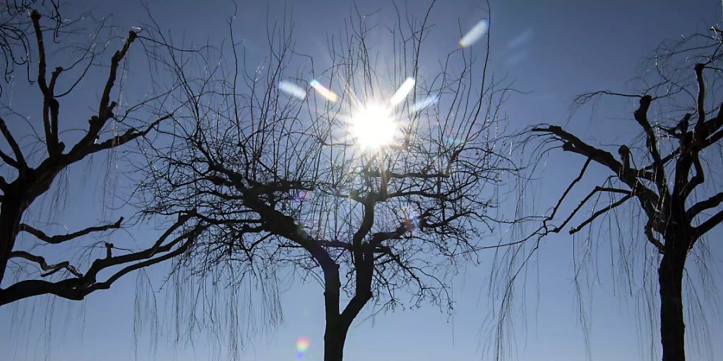 Winter in der Schweiz etwas zu warm