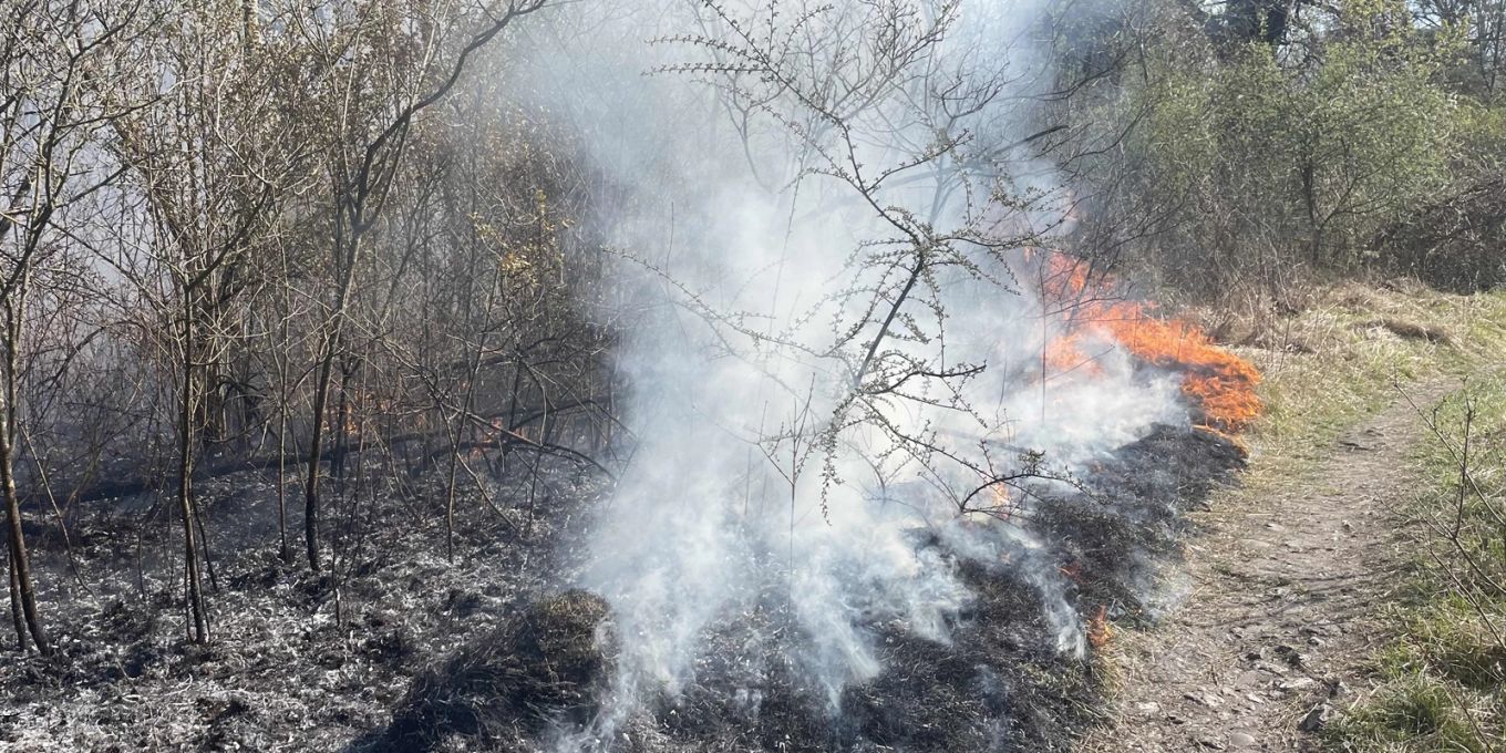 Zizers GR: Feuerwehreinsatz wegen Flurbrand nahe der A13 | Nau.ch