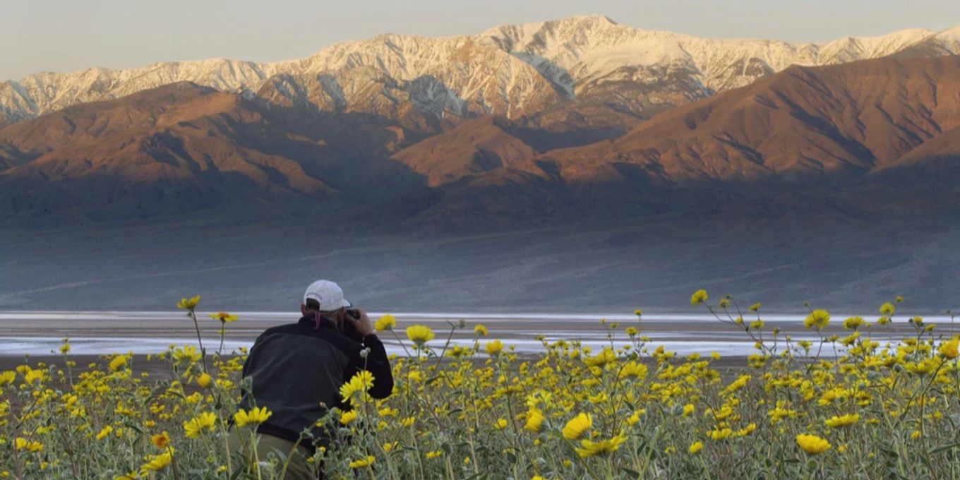 Starkregen erschafft Death Valley See: Blumen und Wasser im Todestal ...